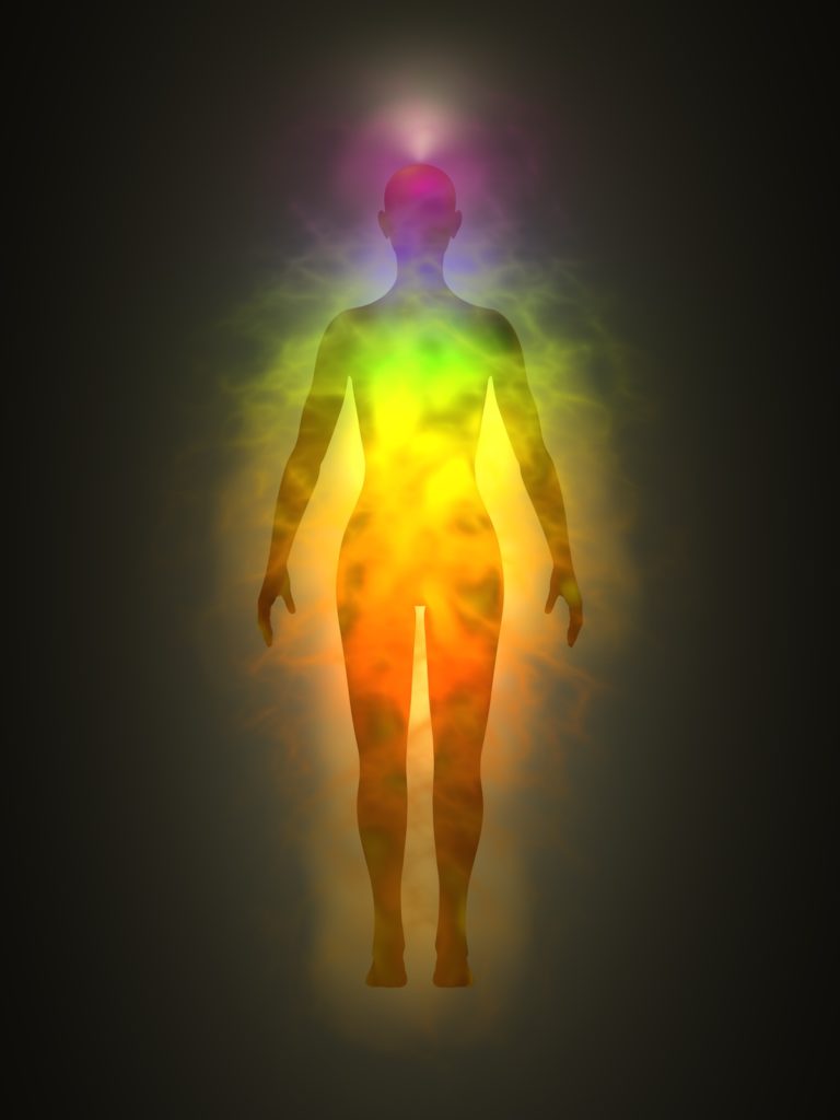 The Body Code - Release and Realign Wellness